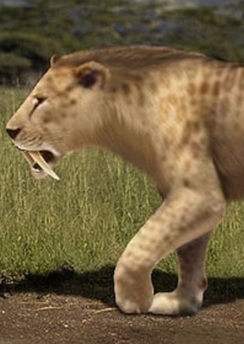 Joe Junior Fan Casting for Ice Age: The Meltdown (2026) | myCast - Fan Casting Your Favorite Stories