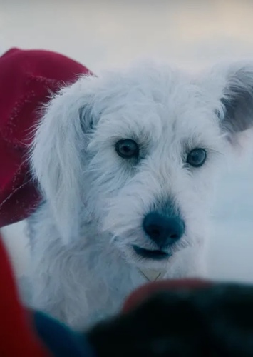 Krypto Fan Casting for Man of Tomorrow (2027) | myCast - Fan Casting ...