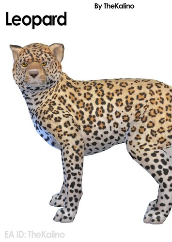 Leopard Fan Casting for The Schroeder and SimsAnimals Africa Show | myCast - Fan Casting Your ...