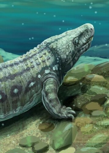 Limnoscelis Fan Casting for Prehistory | myCast - Fan Casting Your ...