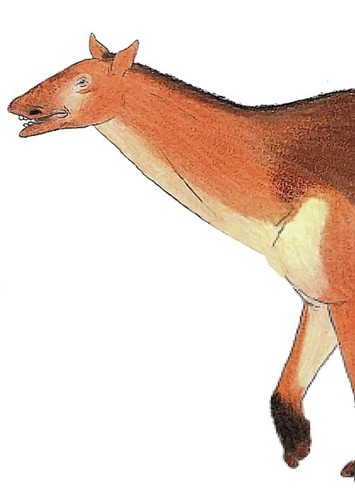 Litopterna Fan Casting for Prehistory | myCast - Fan Casting Your ...