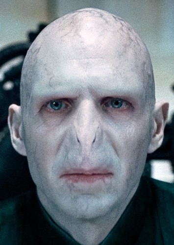 Fan Casting John Kassir as Lord Voldemort (voice) in Harry Potter and ...