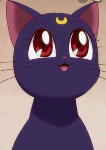 Luna The Cat Fan Casting for Scooby Doo Meets the Sailor Guardians ...