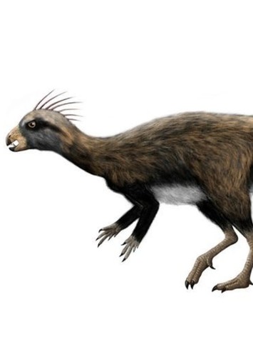 Lycorhinus Fan Casting for Prehistory | myCast - Fan Casting Your ...