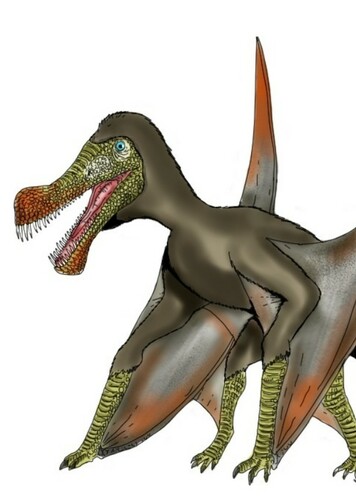 Maaradactylus Fan Casting for Prehistory | myCast - Fan Casting Your ...