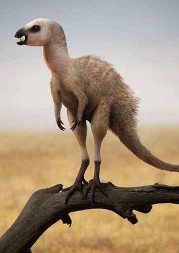 Manidens Fan Casting for Prehistory | myCast - Fan Casting Your ...