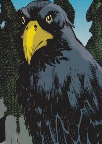 Matthew the Raven Fan Casting for Return to the DC Universe | myCast ...