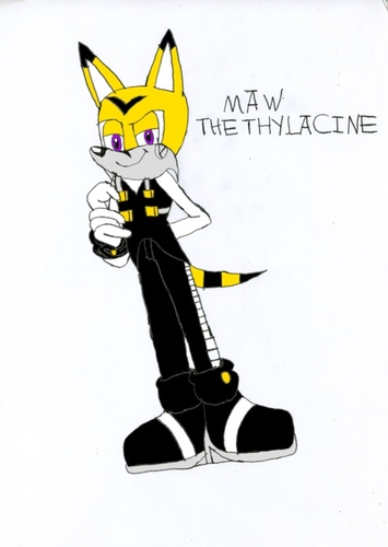 Fan Casting Matthew Mercer as Maw the Thylacine in New Sonic the ...