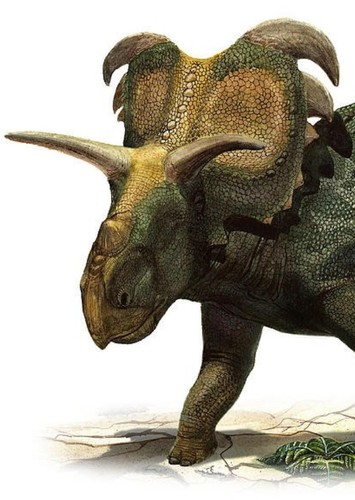 Medusaceratops Fan Casting for Prehistory | myCast - Fan Casting Your ...