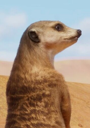 Meerkat Fan Casting for Planet Zoo | myCast - Fan Casting Your Favorite ...