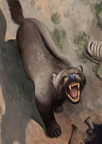 Megalictis Fan Casting for Prehistory | myCast - Fan Casting Your ...