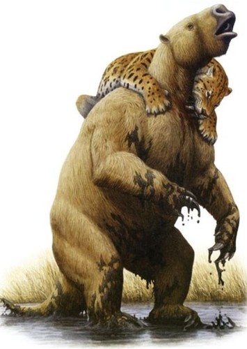 Megalonyx Fan Casting for Prehistory | myCast - Fan Casting Your ...