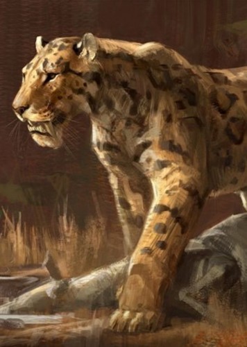 Megantereon Fan Casting for Prehistory | myCast - Fan Casting Your ...