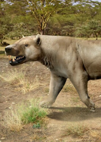 Metapterodon Fan Casting for Prehistory | myCast - Fan Casting Your ...