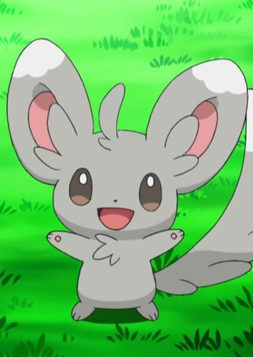 Minccino Fan Casting for Pokémon Mystery Dungeon anime | myCast - Fan ...