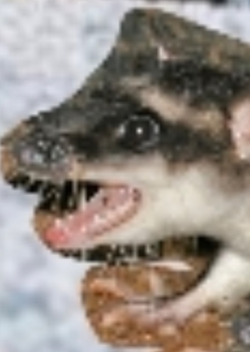 Mother Opossum Fan Casting for Ice Age: The Meltdown (2026) | myCast ...