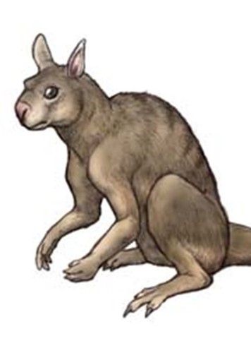 Nambaroo Fan Casting for Prehistory | myCast - Fan Casting Your ...