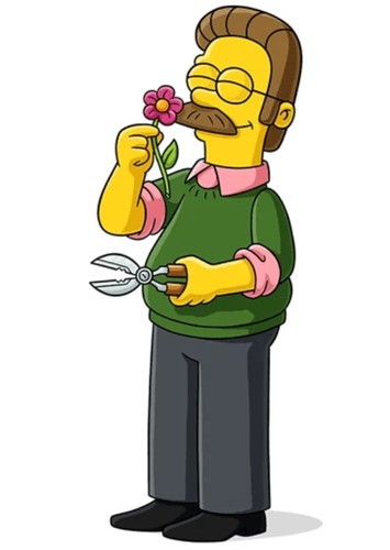 Ned Flanders Fan Casting for The Simpsons: Live-Action 90s Movie ...