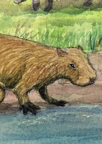 Neochoerus Fan Casting for Prehistory | myCast - Fan Casting Your ...