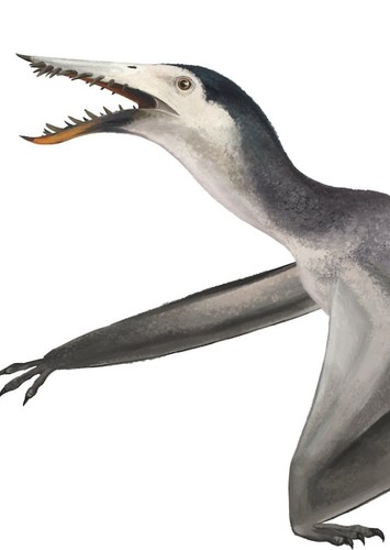 Nesodactylus Fan Casting for Prehistory | myCast - Fan Casting Your ...