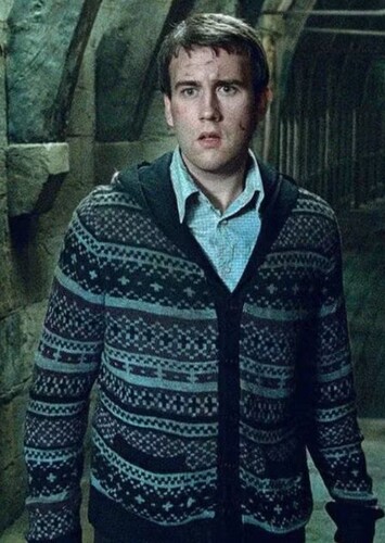 Fan Casting Nicholas Hoult as Neville Longbottom in Harry Potter Saga ...