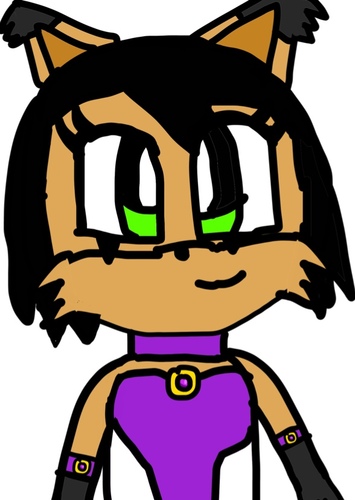 Nicole the Holo-Lynx Fan Casting for Sonic Heroes Forever! | myCast ...