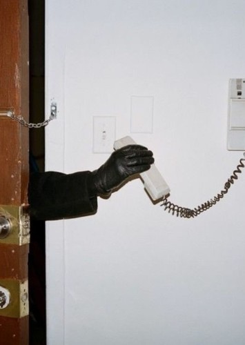 Dane DiLiegro Fan Casting