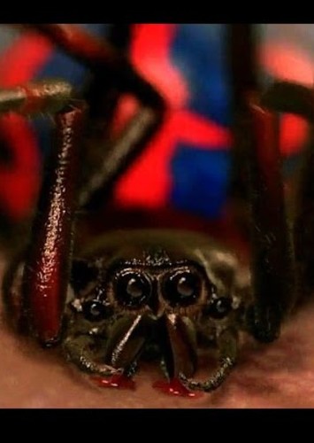 No Origin Story Fan Casting for Rewriting The Amazing Spider-Man 1 ...