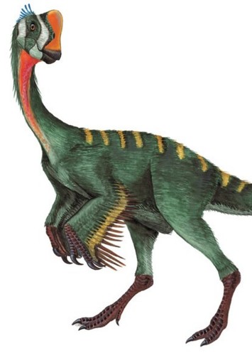 Nomingia Fan Casting for Prehistory | myCast - Fan Casting Your ...