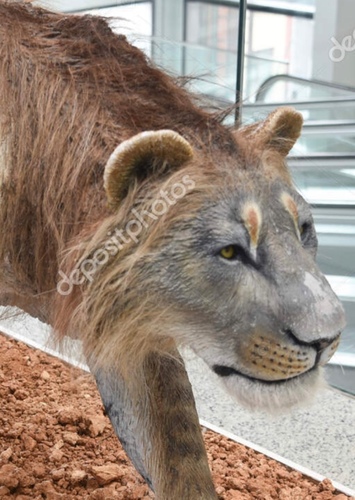 Find An Actor To Play Nuka In The Lion King Ii Simbas Pride 2023 On Mycast