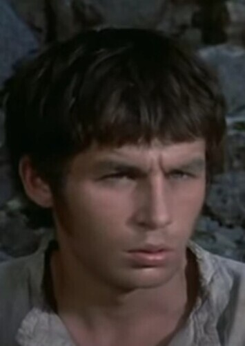 Paddy Noonan Fan Casting for The Saint Patrick's Battalion (1974 ...