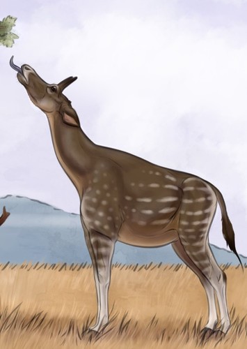 Palaeotragus Fan Casting for Prehistory | myCast - Fan Casting Your ...