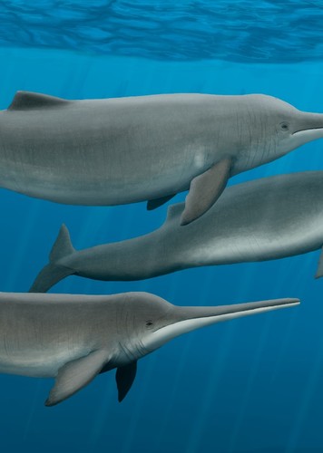 Parapontoporia Fan Casting for Prehistory | myCast - Fan Casting Your ...