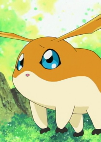 Laura Summer Fan Casting