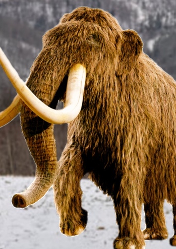 Ice Age: Continental Drift (2032) Fan Casting on myCast