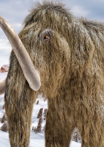 Peaches Fan Casting for Ice Age: Continental Drift (2032) | myCast - Fan Casting Your Favorite ...