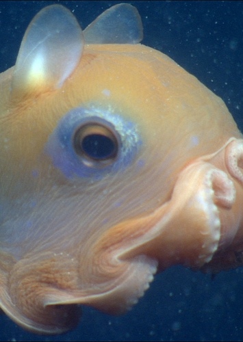 Shaylin Becton on myCast - Fan Casting Your Favorite Stories