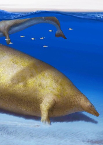 Perucetus Fan Casting for Prehistory | myCast - Fan Casting Your ...