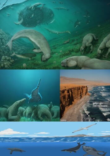 Fan Casting Piscobalaena as Pisco Formation in Prehistoric Wildlife by ...