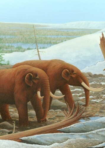 Fan Casting Long-Nosed Peccary as Pleistocene Ohio in Prehistoric ...