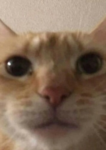 Plimpus Fan Casting for Silly Cats | myCast - Fan Casting Your Favorite Stories