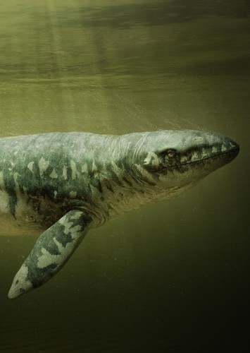 Prognathodon Fan Casting for Prehistory | myCast - Fan Casting Your ...