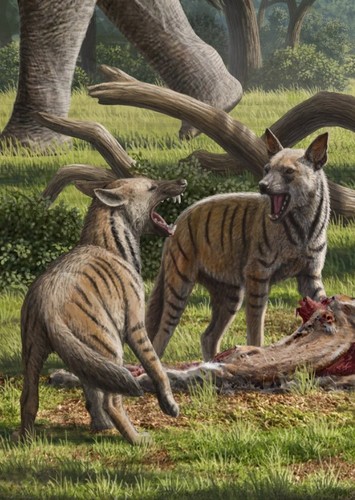 Protictitherium Fan Casting for Prehistory | myCast - Fan Casting Your ...