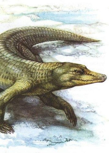 Protosuchus Fan Casting for Prehistory | myCast - Fan Casting Your ...