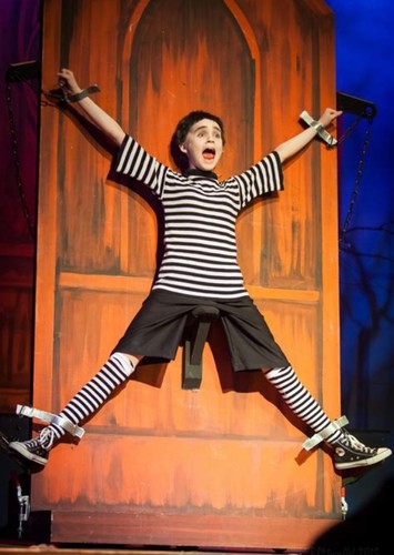 Pugsley Addams Fan Casting for The Addams family a New musical | myCast ...