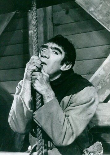 The Hunchback of Notre Dame Fan Casting for Tim Burton's Universal ...