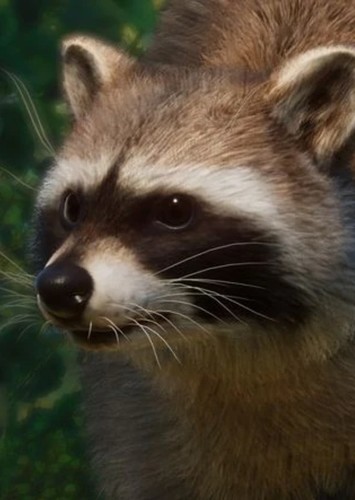 Raccoon Fan Casting for Fictional North American Animals | myCast - Fan ...