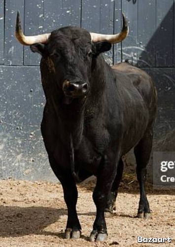 Find an Actor to Play Raf in Live Action Ferdinand (2037) on myCast