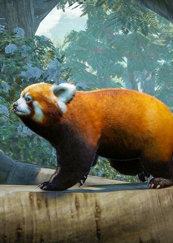 Red Panda Fan Casting for Planet Zoo | myCast - Fan Casting Your ...