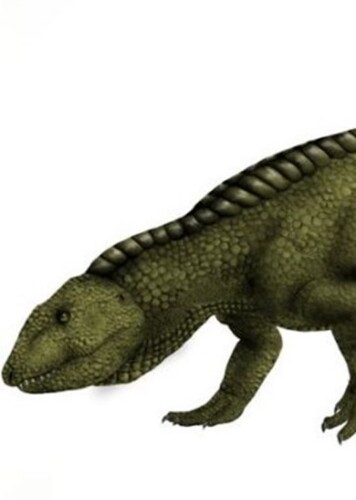 Revueltosaurus Fan Casting for Prehistory | myCast - Fan Casting Your ...